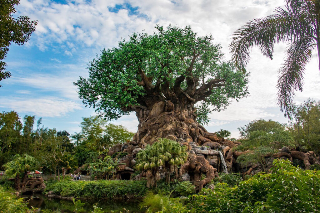 How to get to Animal Kingdom | Guide2WDW